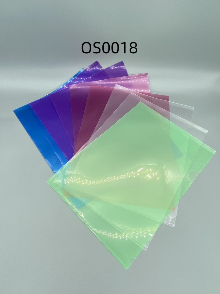 A4 Letter Files 10pcs - Dragon Variety